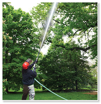 Florel Spray – Ray's Tree & Lawn Care