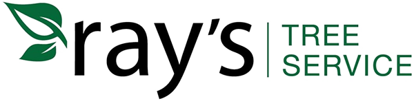 Ray's Tree & Lawn Care